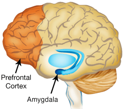 Controlling Emotions - 50 Plus Reasons